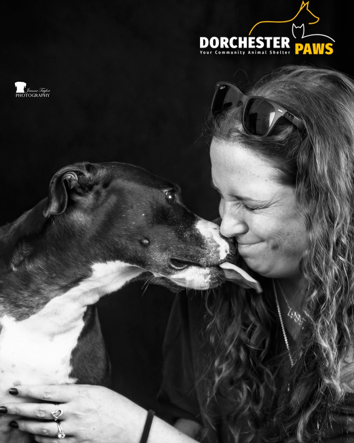 Dorchester Paws: Kia Pet Adoption Grant Report - Petfinder Foundation